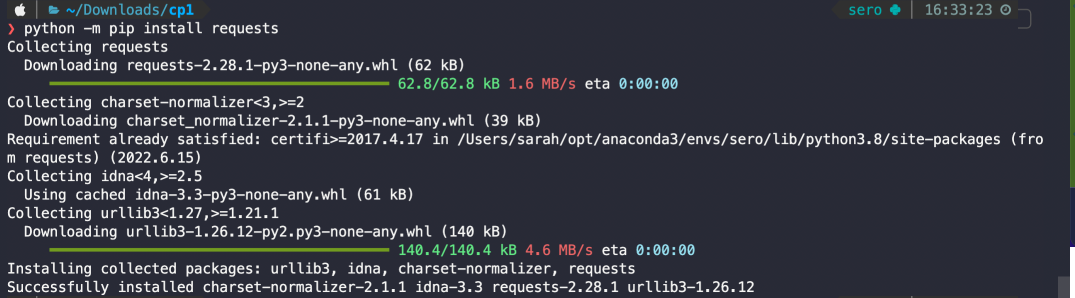 [python] requests 'No module named' 에러해결