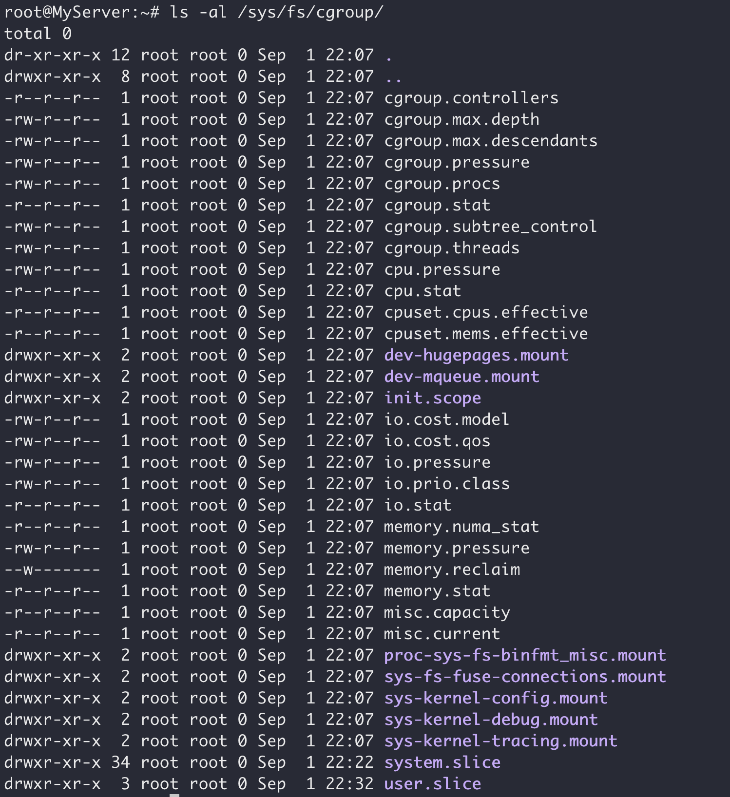 [네떡스터디🔥kans] cgroup v1, v2