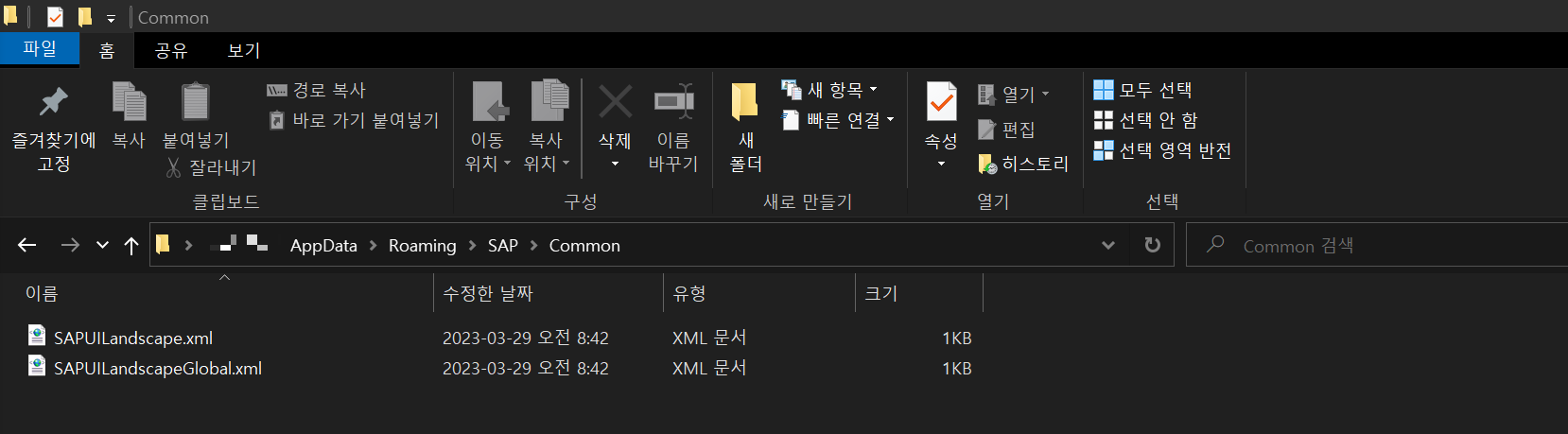 SAP GUI 세팅 - saplogon.ini migration (접속 정보 복사) 760 이상 버전 방법 포함