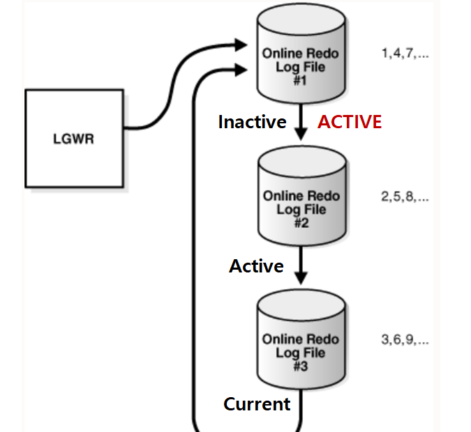 Oracle database file