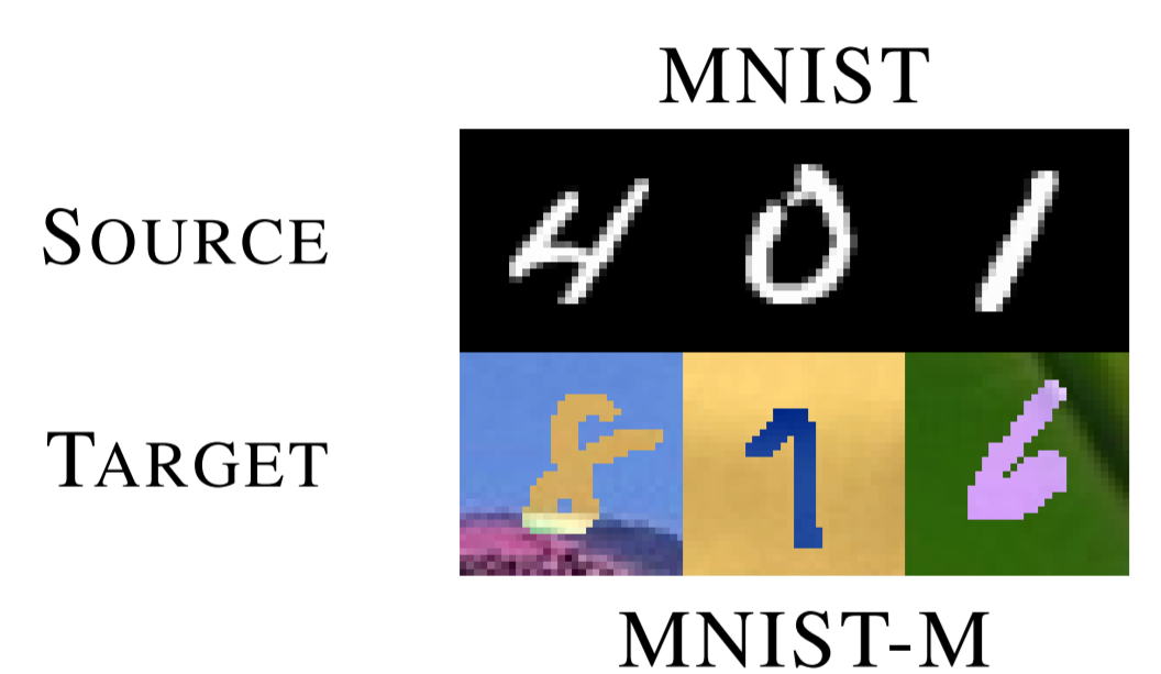 Domain adaptation vs generalization