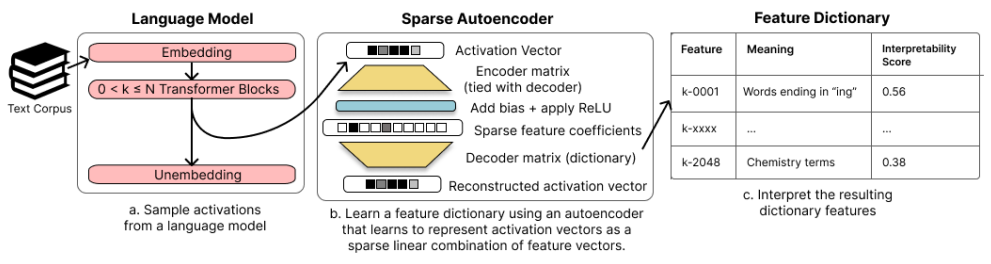 Sparse Autoencoders Find Highly Interpretable Features in Language ...