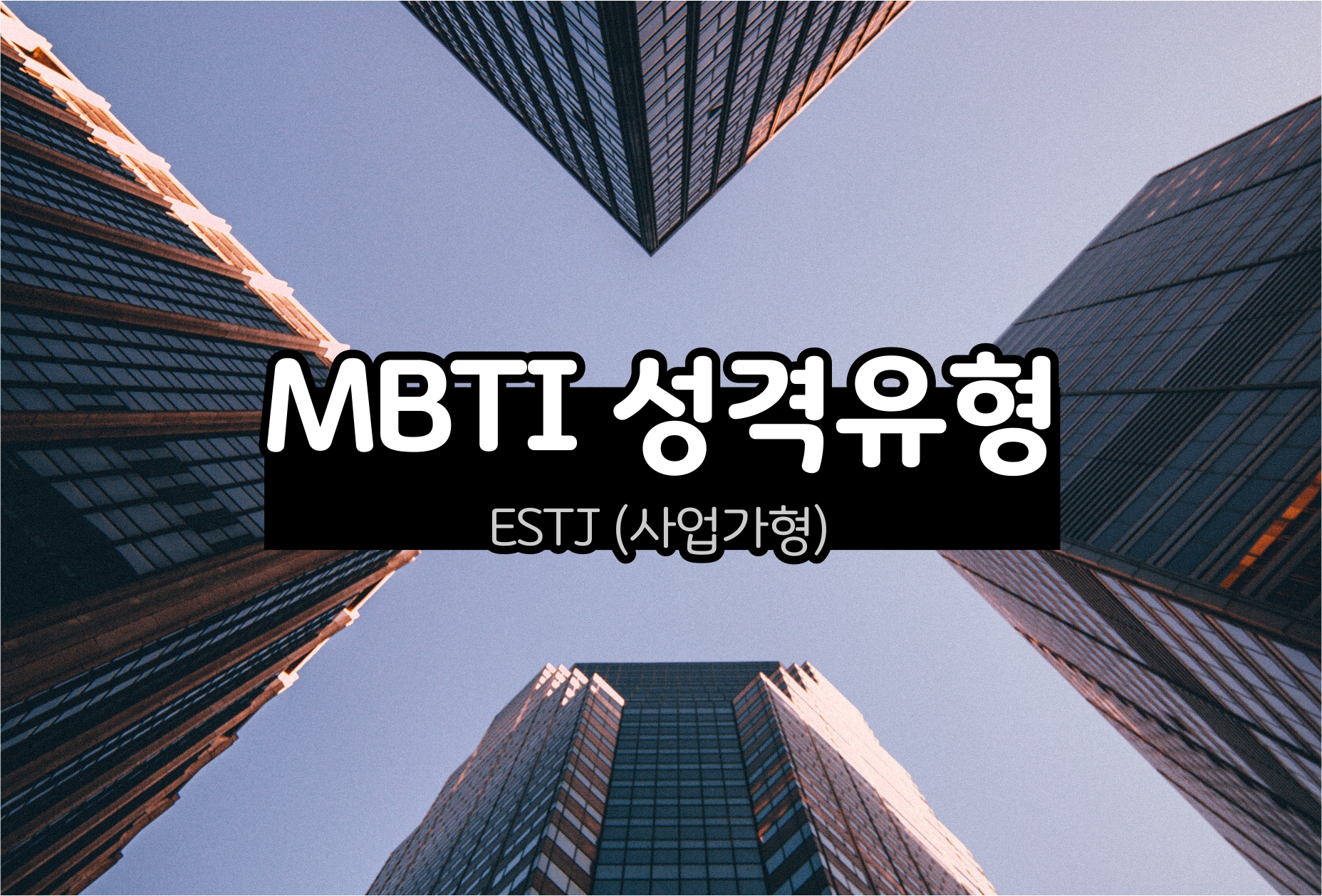MBTI 성격 - ESTJ유형 (사업가형)