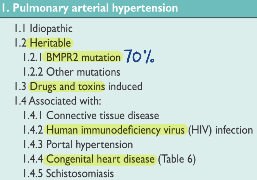 Pulmonary Artery Hypertan sion 폐동맥 고혈압 PAH, - a8