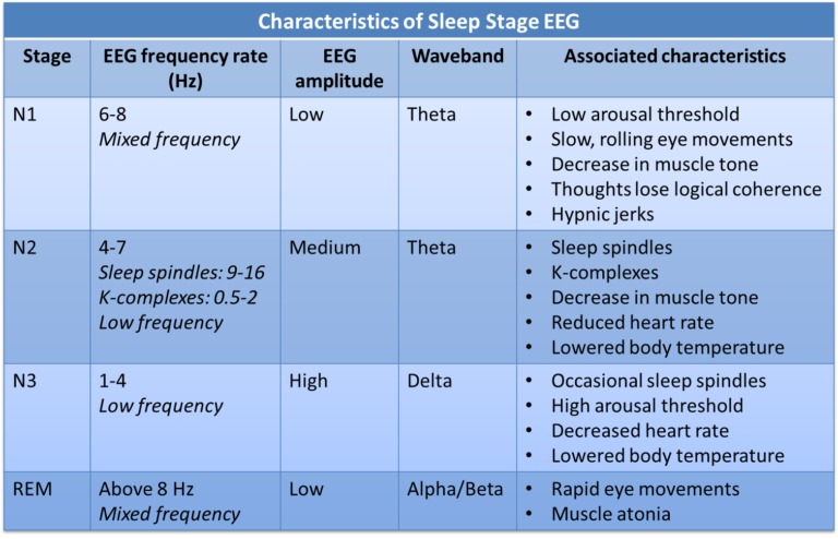 수면 단계 (Sleep Stage)
