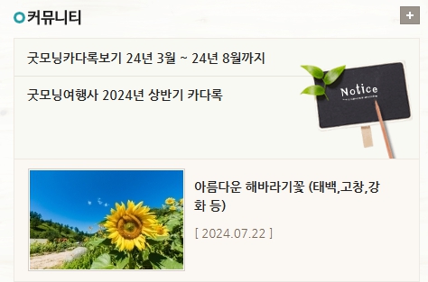 굿모닝여행사 홈페이지(https://www.gmtr.co.kr) 바로가기