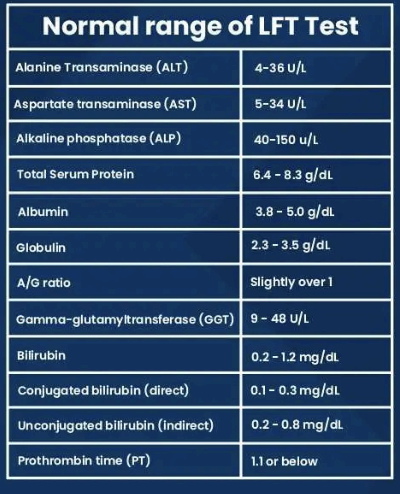 간기능 검사 (LFT,liver function test) :: ultrasound study