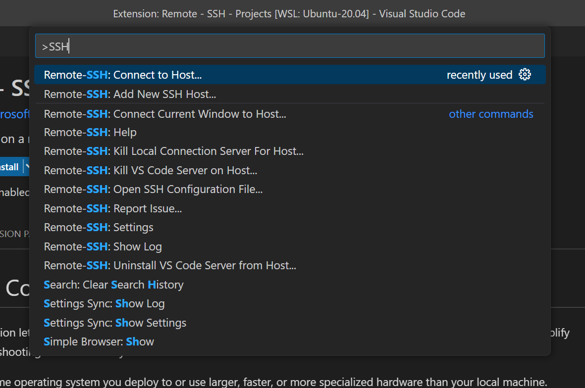 [딥러닝 환경 세팅] WSL2 환경에서 원격 SSH 코딩 서버 구축하기 (VSCode) :: Power Overwhelming