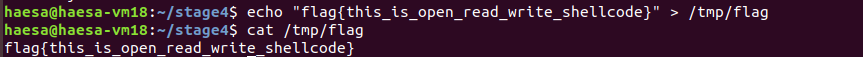 [dreamhack] Exploit Tech: Shellcode — haesa