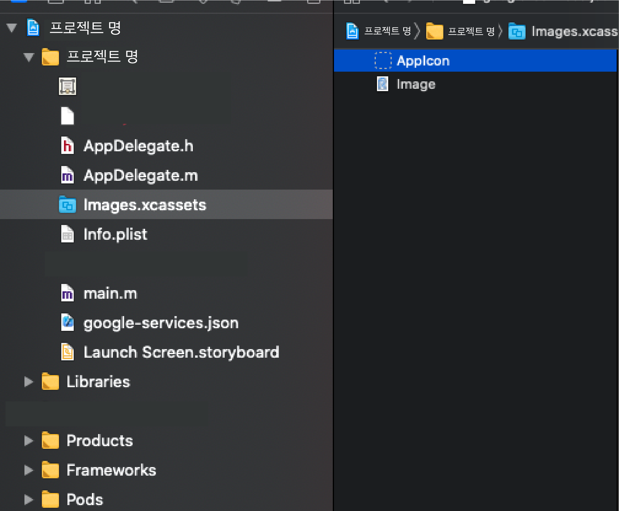 [react Native] Ios, Android App Icon 적용하기