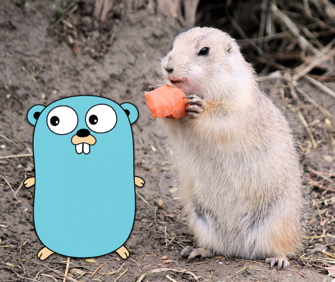 The Go Programming Language