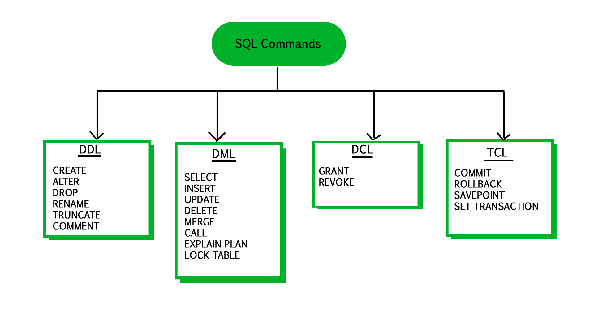  Database SQL DDL