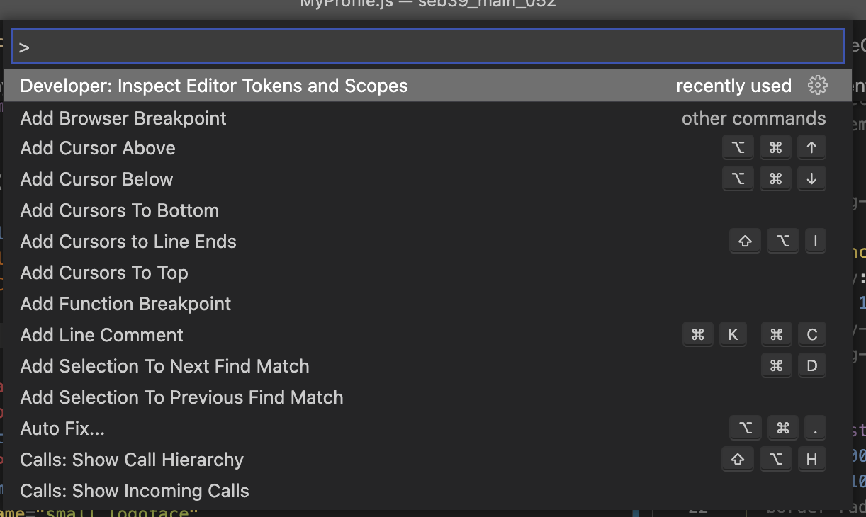 VSCode 특정 글자 색 변경 — hana's lab 🌱