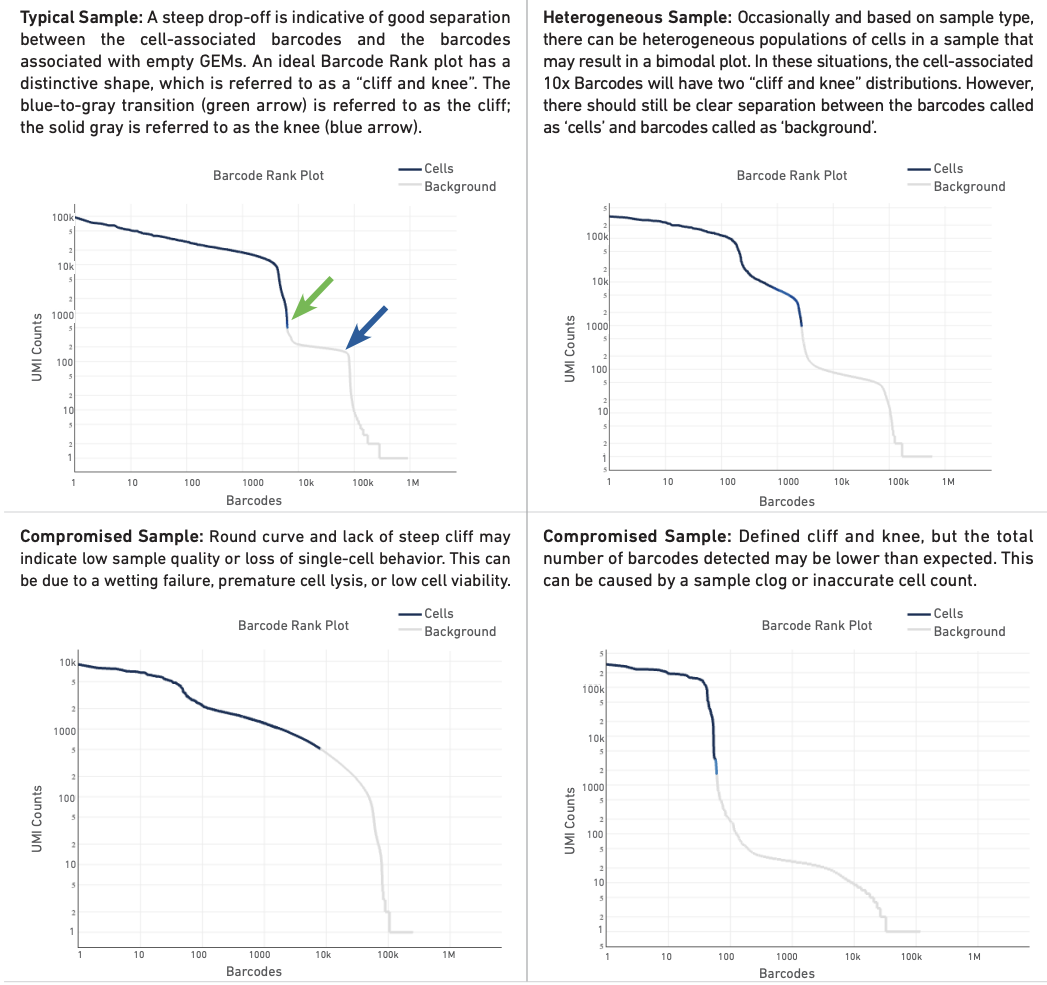 Single Cell Rna Sequencing Ngs Analysis