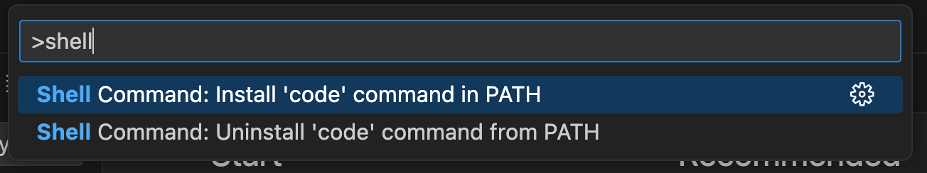 [VSCode]터미널에서 VSCode 바로 열기(code 명령어) — release: canary