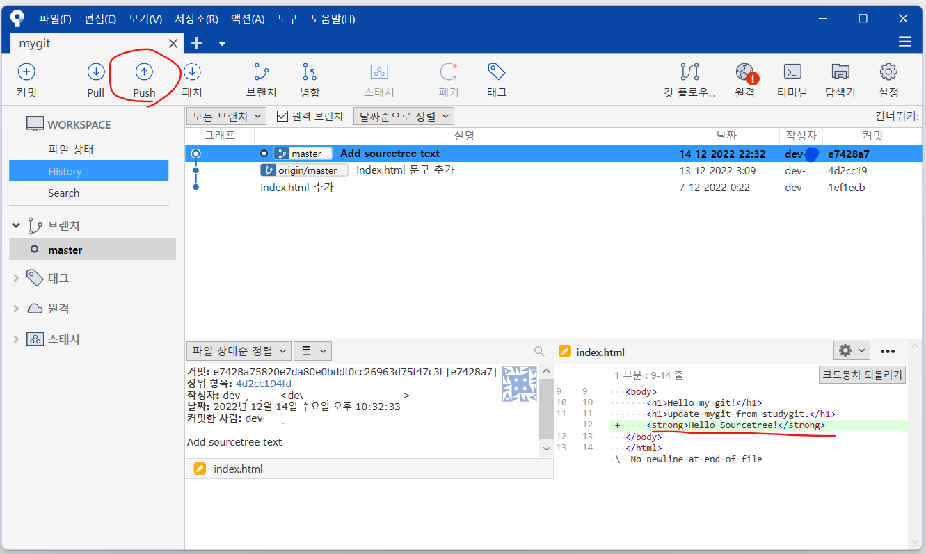 [Git] 소스트리 사용 방법 0 (feat. add, commit, push)