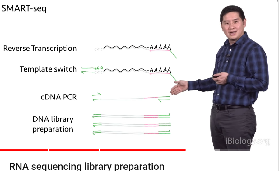 [대학원 준비 3일차] SMART-seq에 대하여 (template switch)