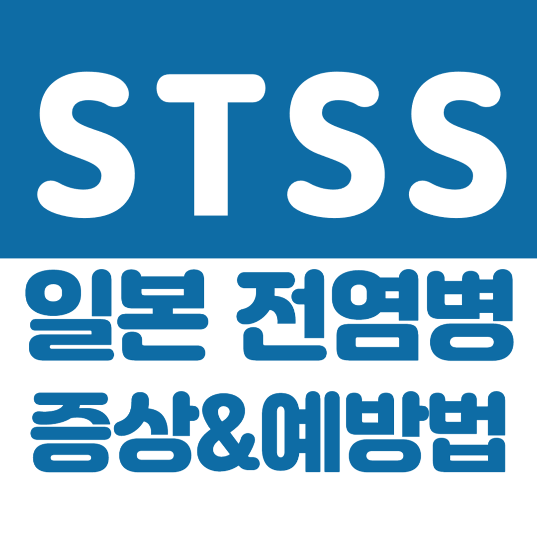 'STSS' 독성 쇼크 증후군 일본 전염병 증상 및 예방방법 :: bluesky