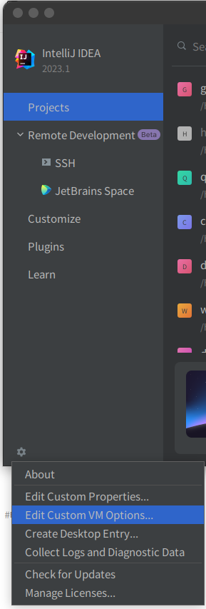 [Intellij] Custom VM options 잘못 설정하여 실행되지 않는 경우 : Invalid initial heap size