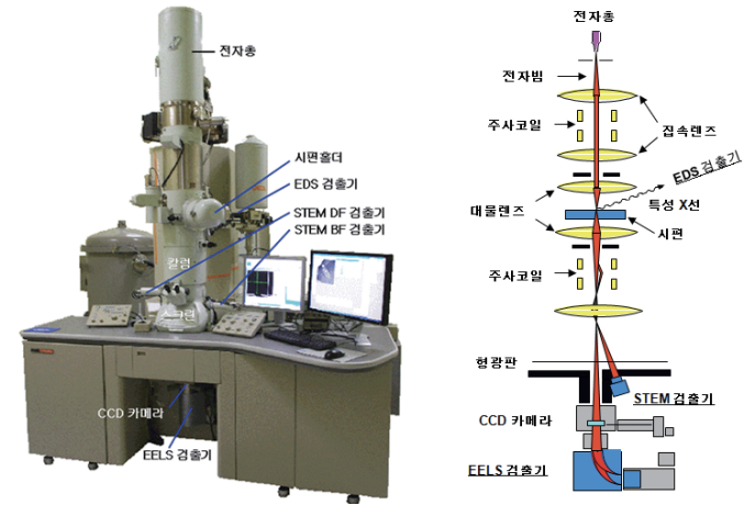 Transmission Electron Microscope (TEM)