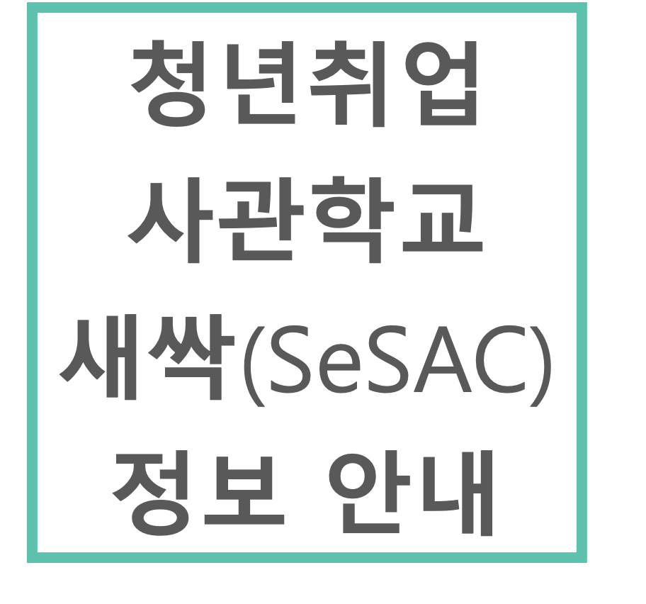 청년취업사관학교 새싹(SeSAC) 정보 안내, 소프트웨어 교육