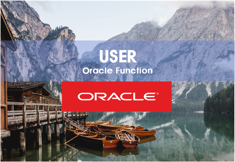 【오라클 SQL 함수】 USER 함수