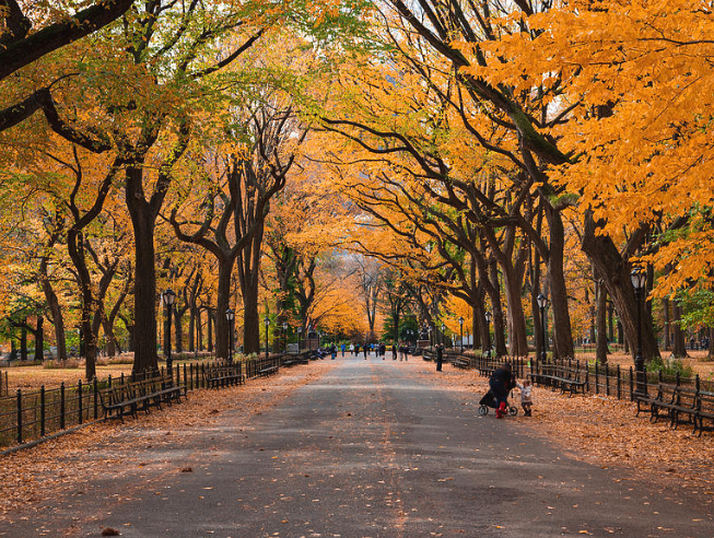 뉴욕 센트럴파크 완벽 가이드: 계절별 추천 루트 & 맛집까지!