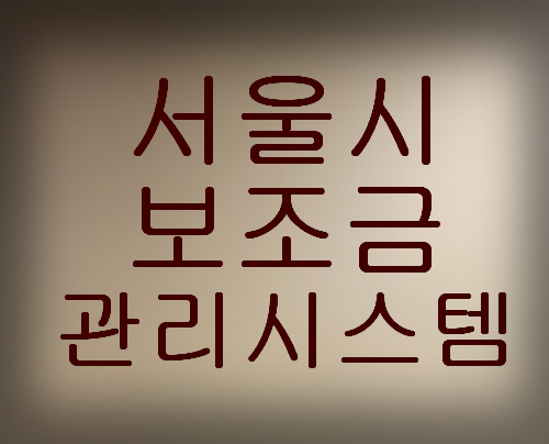 서울시 보조금관리시스템