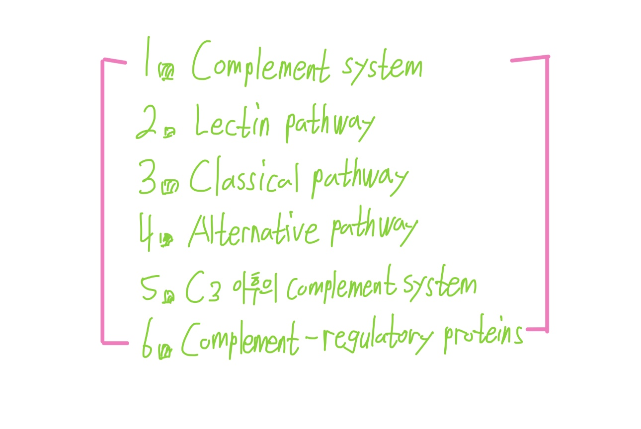 Complement System Lectin Classical Alternative Pathway과 Regulatory