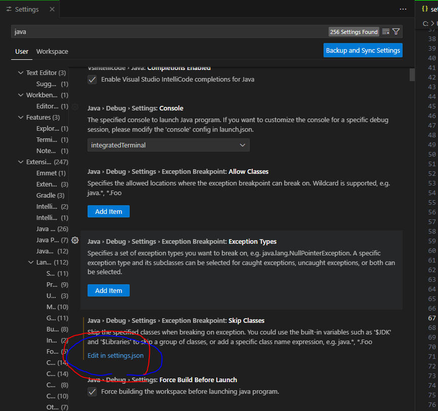 vscode 에서 java 버전 변경(java extension 설치 후 기본 버전(jdk21)으로 셋팅되는 경우)