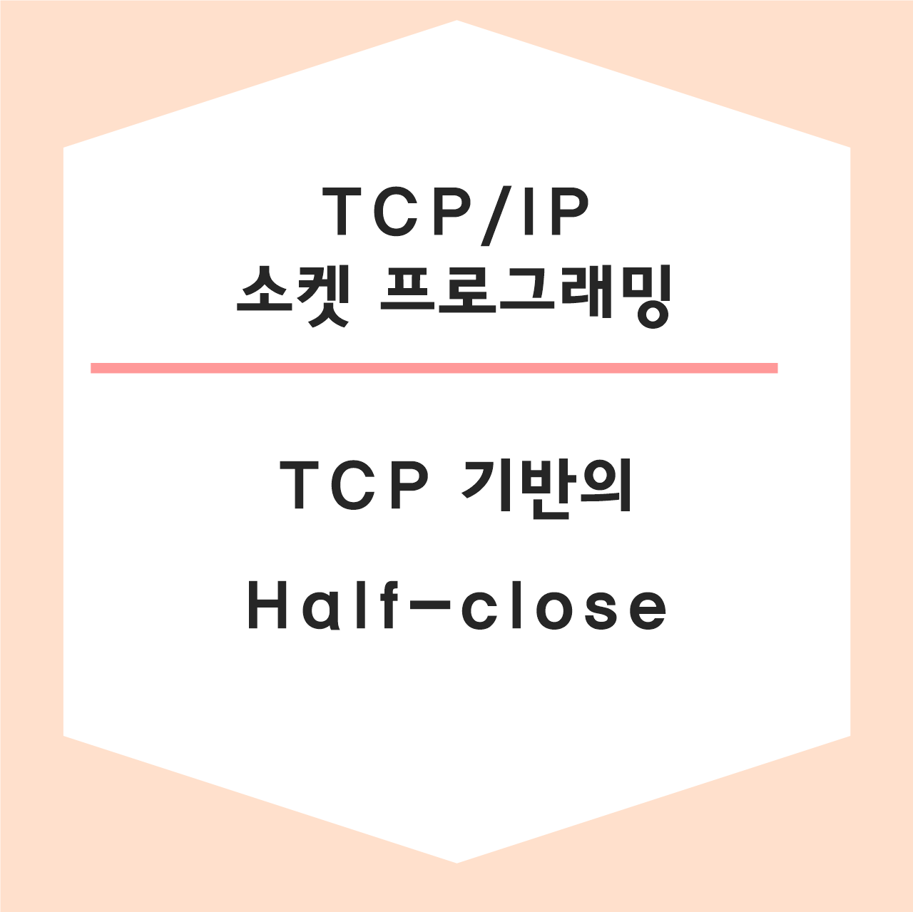 7. TCP 기반의 Half-close : shutdown() [TCP/IP][C][LINUX] — 푸더기와 푸닥푸닥