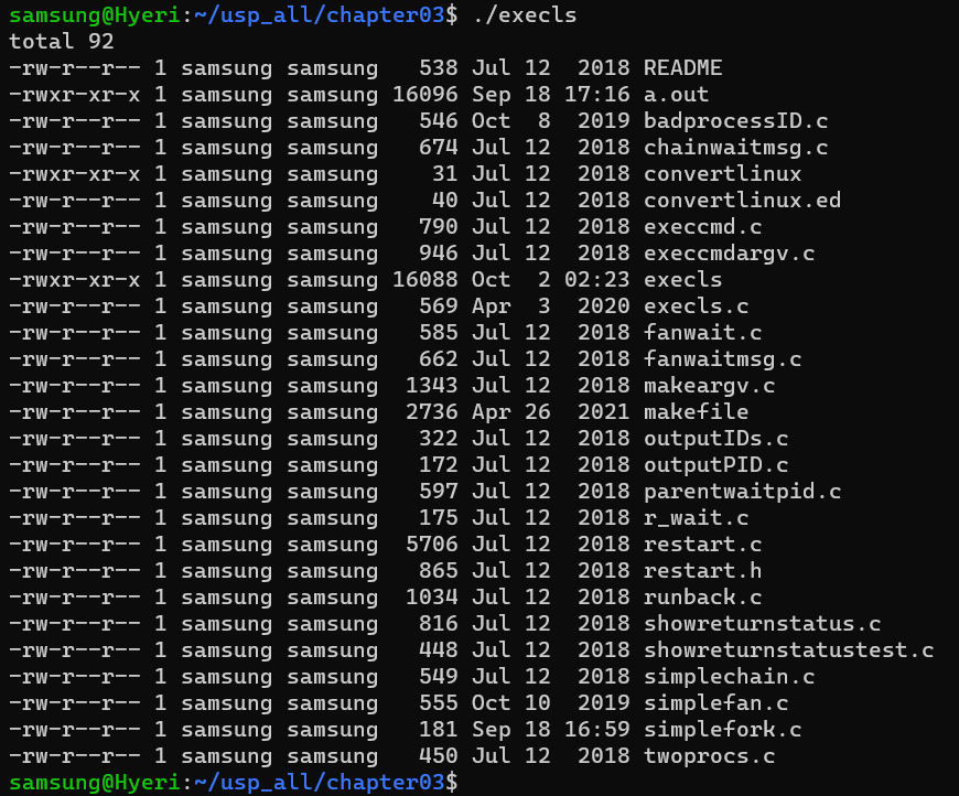 [리눅스] system 함수 - fork , exec — 코딩신생아