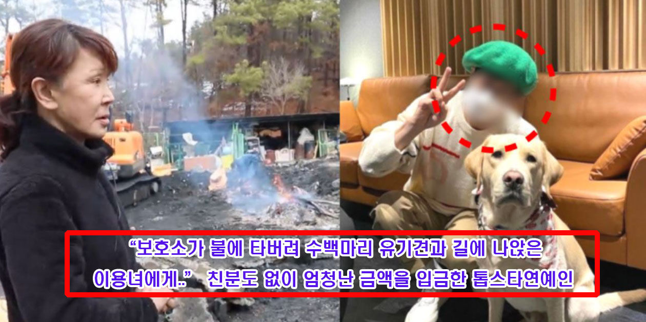 “보호소가 불에 타버려 수백마리 유기견과 길에 나앉은 이용녀에게 ” 친분도 없이 엄청난 금액을 입금한 톱스타연예인