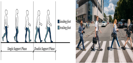 척추엔진(Spinal Engine)-척추의 움직임은 생명이다