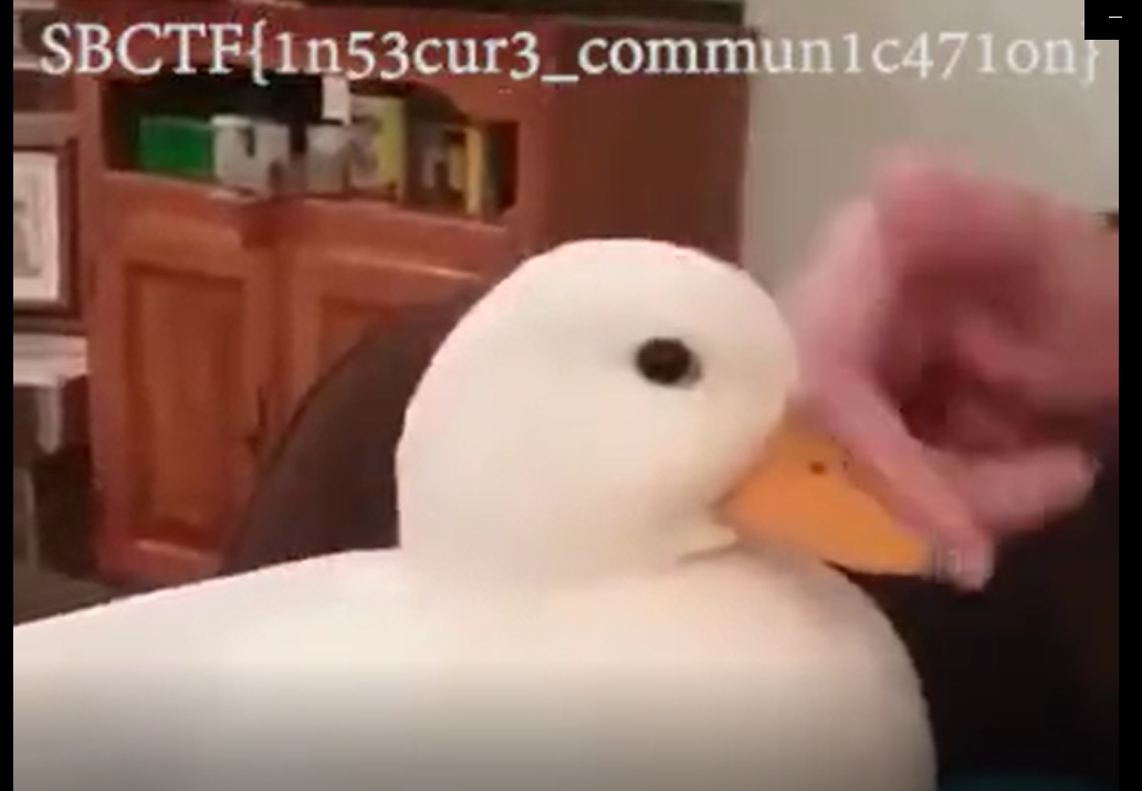 SecureBug CTF 2021 write up