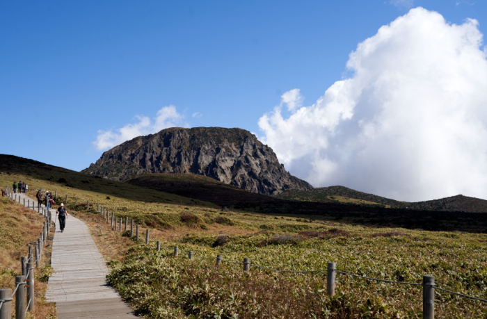 제주도 한라산 등산 코스(트레킹) 및 사전 예약하기