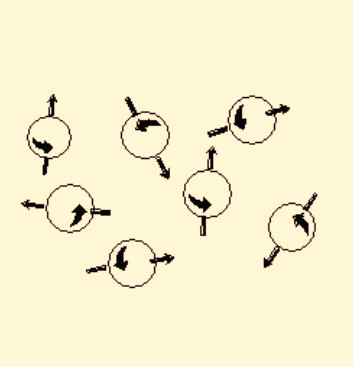 순자화 (Net Magnetization Vector)