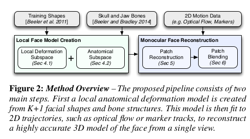 An Anatomically-Constrained Local Deformation Model for Monocular Face Capture