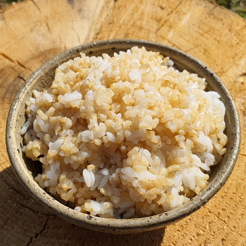 현미밥 맛있게하는법 으로 보슬보슬한 현미밥 지어요~