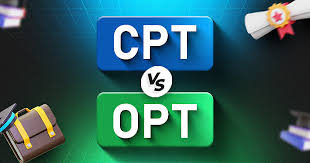 미국 유학생을 위한 가이드: OPT와 CPT의 차이점