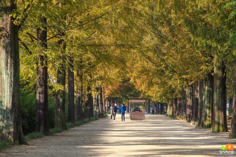 4월 국내 봄꽃 여행지 추천 - 벚꽃・유채꽃 명소 BEST 5 총정리
