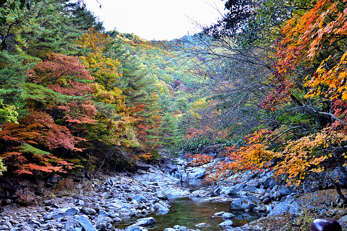 지리산 뱀사골 단풍