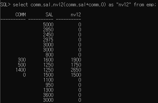 Oracle null값을 만나면 다른 값으로 치환해주는 함수 NVL() ,NVL2()
