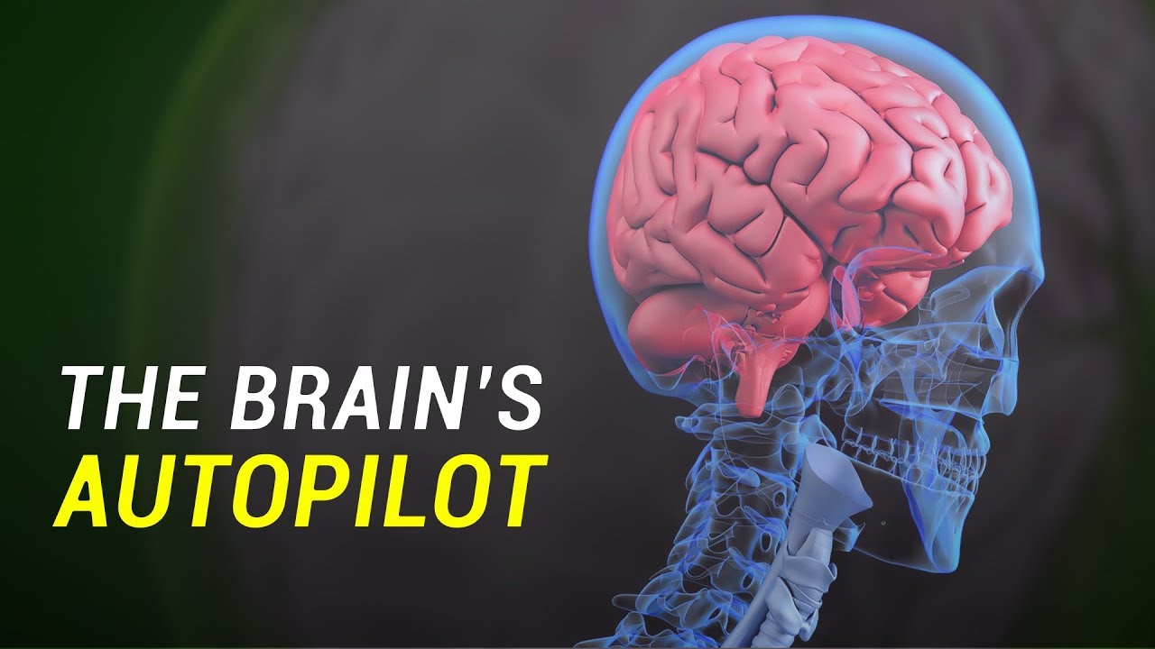 뇌, 자동 조종 모드, brain autopilot mode, Your autopilot mode is real - now we ...