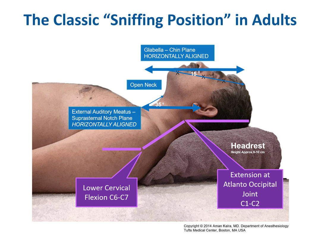 TCCC Guidelines Ver. 2024th (TFC)