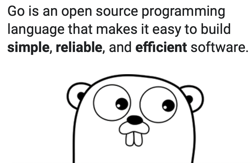 The Go Programming Language