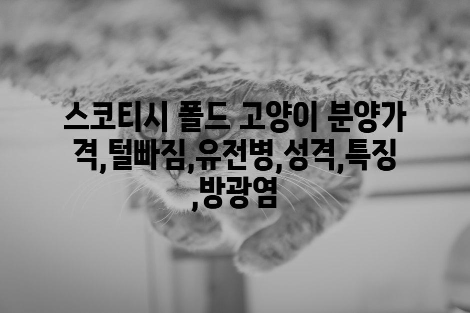 스코티시 폴드 고양이 분양가격,털빠짐,유전병,성격,특징,방광염