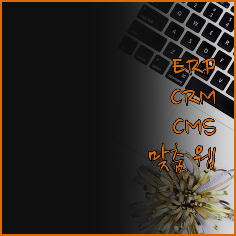 맞춤형 웹 솔루션으로 ERP, CRM, CMS 한번에! 30대 전문가가 책임집니다