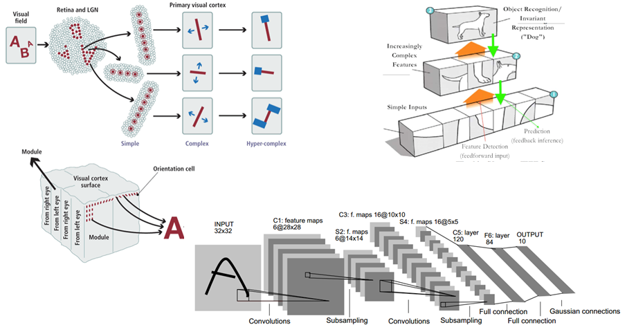 딥러닝 CNN의 모든 것이었으면 좋겠다 ( channel, strid, padding, pooling, Convolution )