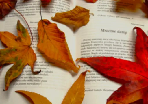 오산시청 홈페이지 바로가기 민원실 전화번호 https://www.osan.go.kr/